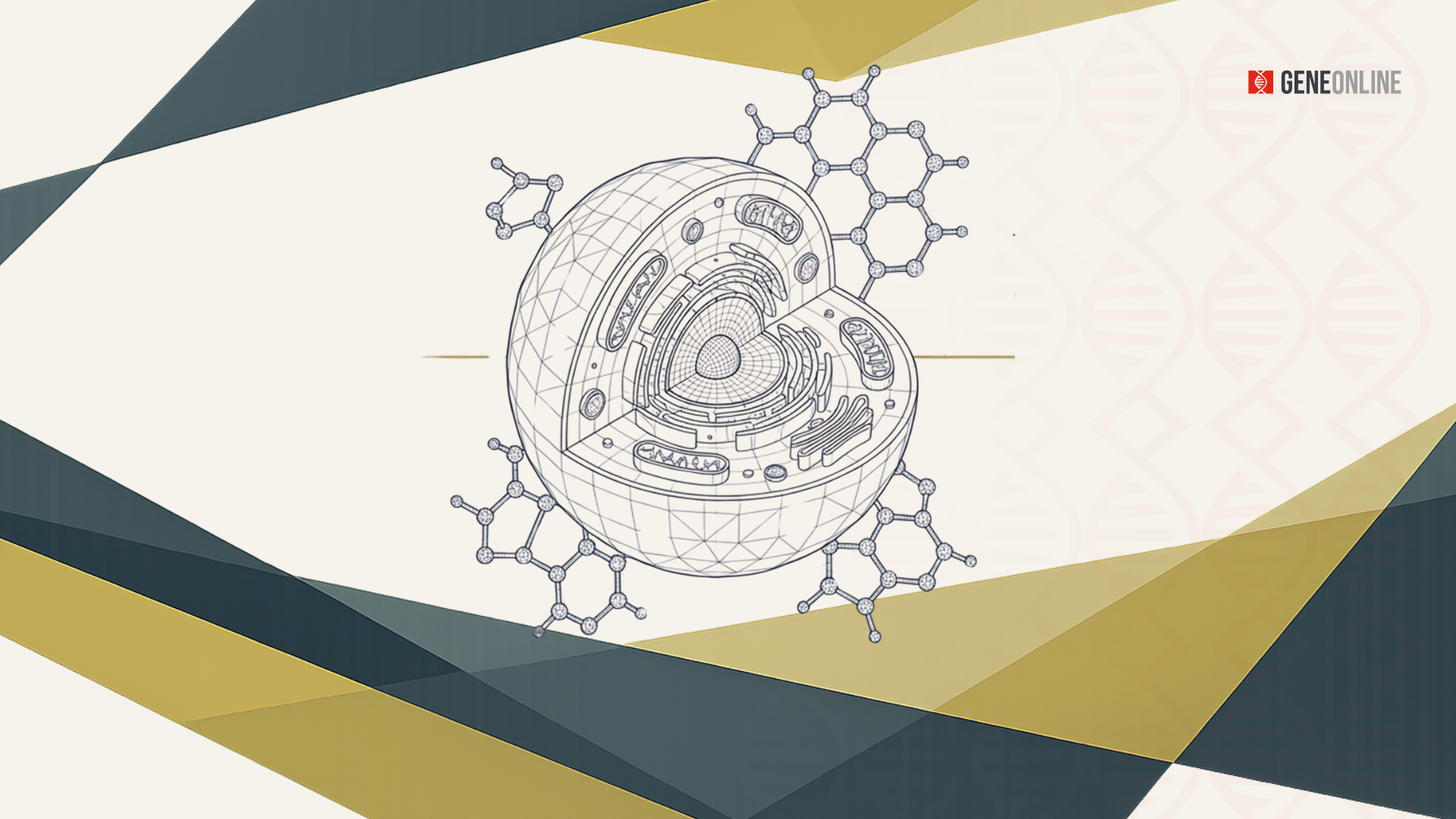 [Illustrations] The Diversity Deficit in Oncology Trials: When ...