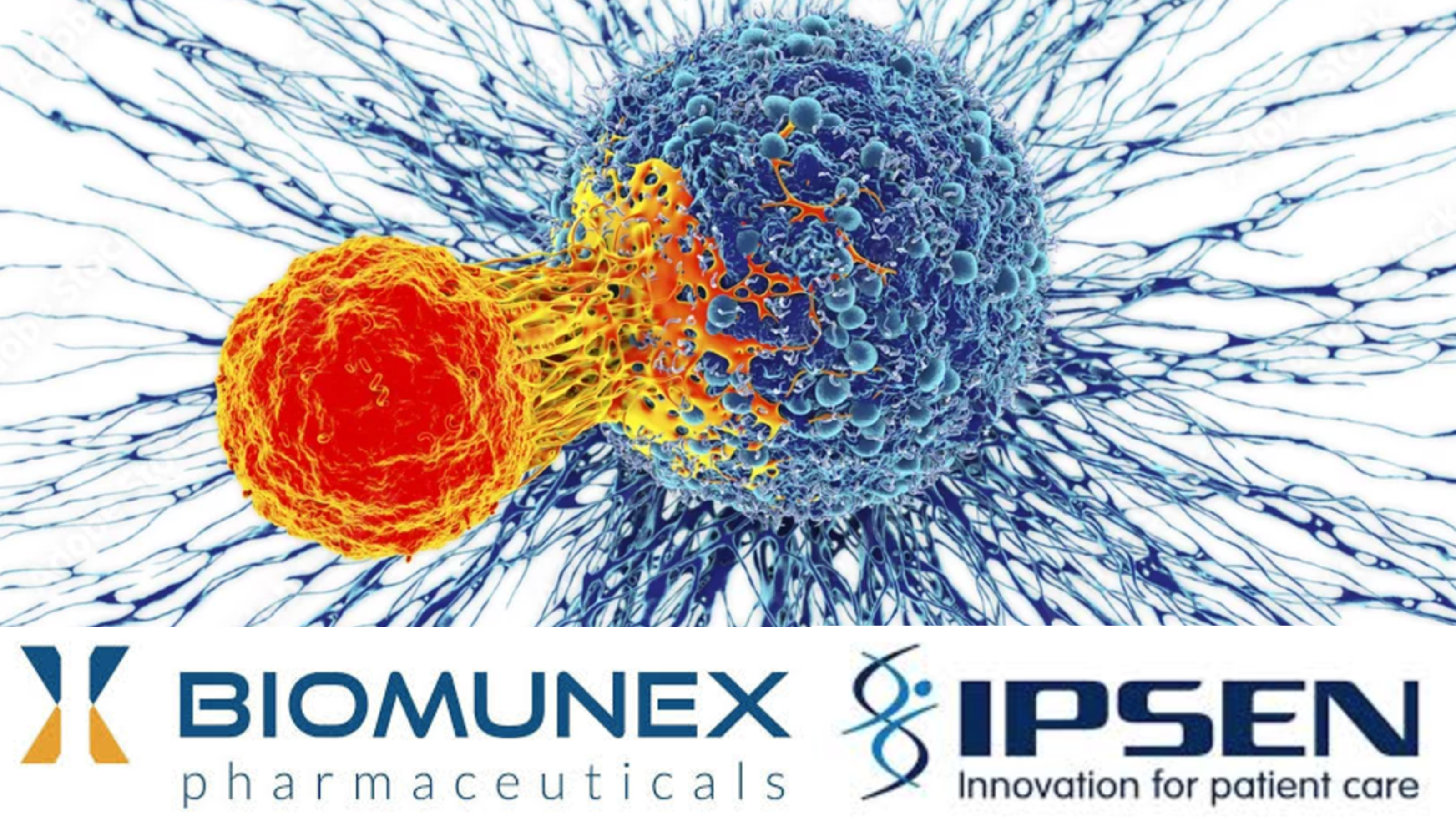 Ipsen Bets $600M on Biomunex’s First-in-Class T-Cell Engager BMX-502 ...